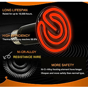 Woyrise 100W Ceramic Heat Emitter, Reptile Heat Lamp Bulbs, No Light Emitting Brooder Coop Heater for Amphibian Pet & Incubating Chicken, Black (2-Pack)