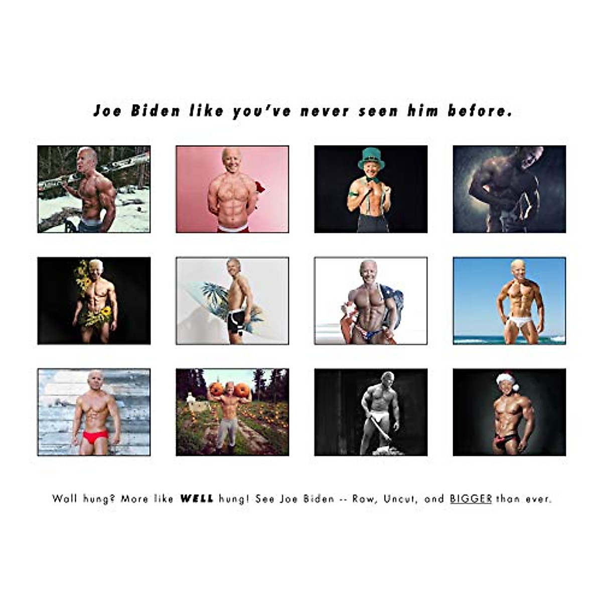 2022 Joe Biden Calendar: Swimsuit Edition