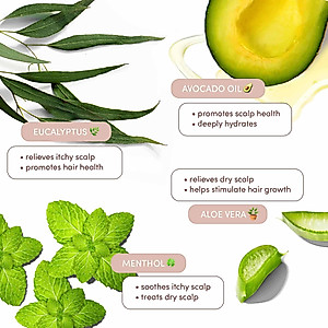 Mizani Scalp Care Calming Scalp Lotion |Dandruff Treatment | Nourishes & Soothes Scalp | For Curly Hair | 4 Fl Oz