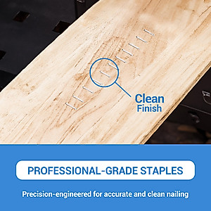 meite T50 Staples, 9/16 Inch Heavy Duty Staples for Staple Gun, 20 Gauge 3/8 Inch Crown Galvanized Upholstery Staples Staple Gun Staples (1,512 Counts)