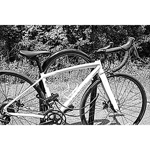 Kryptonite Bike U-Lock with Braided Steel Cable, High Security Anti-Theft Bicycle U Lock, 12mm Shackle and 8mm x4ft Length Security Cable with Keys for Scooter Road Mountain Bikes,Black