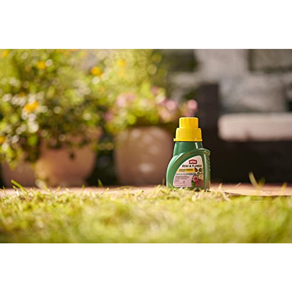 Ortho Rose & Flower Disease Control Concentrate, 16 oz