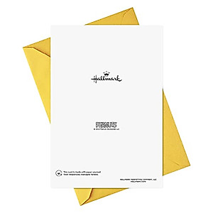 Hallmark Peanuts Pack of Easter Cards, Snoopy Easter Egg Joke (4 Cards with Envelopes)