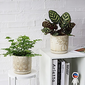 YFFSRJDJ 6 Inch Indoor Plant Pots with Drainage Holes and Saucers, Ceramic Planter for Plants, Flower Pot - Set of 2