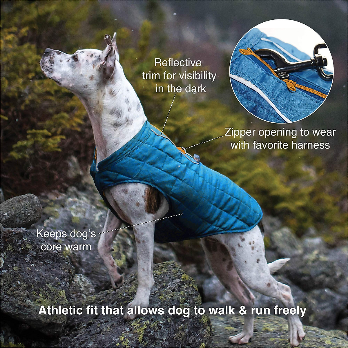 Kurgo Dog Jacket | Reversible Winter Coat for Dogs | Fleece Vest for Pets | Reflective | Wear with Harness | Water Resistant Loft Jacket | For Small Medium Large Pets (Blue/Orange, Large) (K01849)