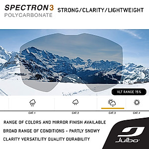 Julbo Echo Youth Goggles, Black/Gray/Read Frame - Spectron 3 Orange Lens w/Red Mirror