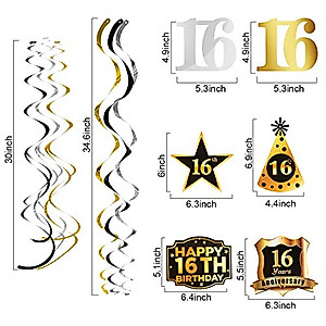 16th Birthday Decorations for Boys- Happy Birthday Banner Black and 16th Birthday Hanging Swirls, 16 Birthday Decorations Boy, 16 Birthday Decorations