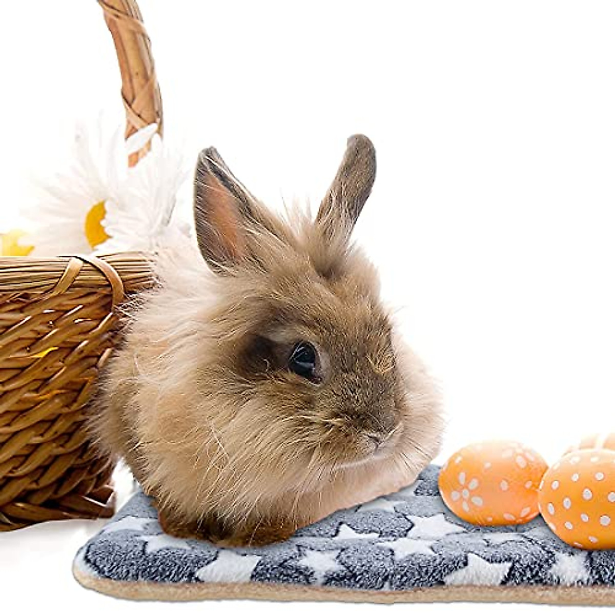 G YITENG 3 Pc Small Animal Plush Bed Mat,Warm Fluffy Kitten Puppy Blanket,Fleece Sleep Pad for Ferrets Hamster, Rabbit Bed Guinea Pig Bed (Large:19 x 12in, Set-G)