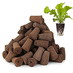 moistenland 50-Pack Compatible Seed Pod Sponges, Seed Starter Sponge Pods Replacements, Root Growth Sponge Plugs for Hydroponic Indoor Garden kit Seed Starting (Seeds Not Included) (50)
