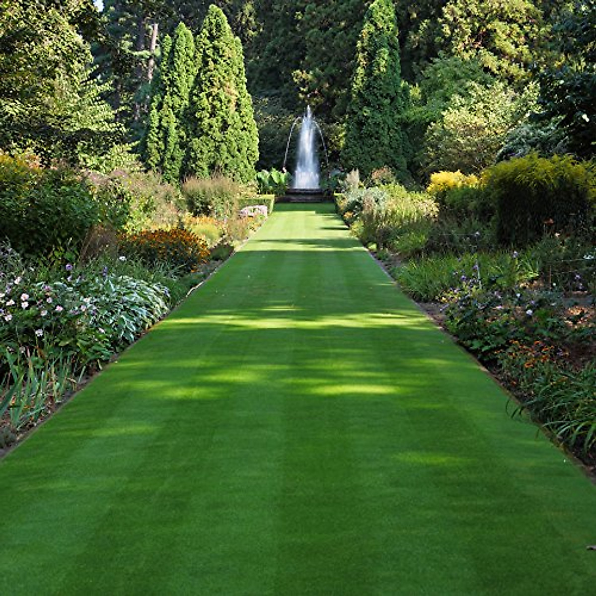 Outsidepride Legacy Fine Fescue Shade Tolerant, Soft, Turf, Lawn Grass Seed Blend - 5 LBS