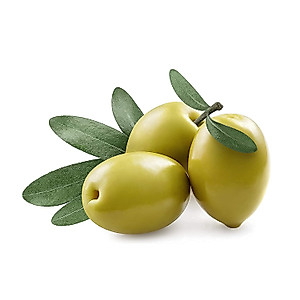 Squalane Oil - Pure, Natural, Plant-Derived, Non GMO, Refined - 16 oz - Squalene Alternative, from Olive - Ultra Hydrating & Moisturizing Carrier Oil - Hexane Free, Cold Pressed - OPO