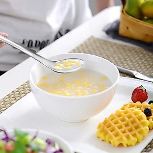 Asian Soup Spoons,Stainless Steel Dinner Spoons 10pcs Rice Spoons, Chinese Won Ton Soup Spoon, Notch and Hook Style