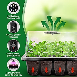 DUCRKAC (5-Pack) Seed Starter Tray with Grow Light & Humidity Dome, 60-Cell Seedling Starter Trays, Plant Starter Kit Indoor, Seed Starting Supplies, Garden Seed Growing Kit, Plant Germination Trays