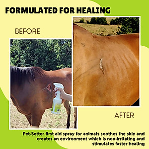 Pet-Setter Animal Wound and Skin Care Spray for all Pets Dog and Cat Cleanser Will Soothe Skin Irritations Treat Cuts Provide Itch Relief Eliminate Pet Odor Even Bad Breath Made in USA 16 Oz