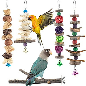Bissap Bird Chew Toys, 5 Packs Parakeet Natural Wood Toys Parrot Hanging Cage Toy Bird Perch Stand for Small Bird Conure Cockatiel Parrotlet Lovebird Budgie