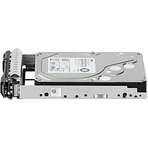 Dell 4TB 7.2K 12Gbps NL SAS 3.5 HDD 512n (1MVTT) (Renewed)