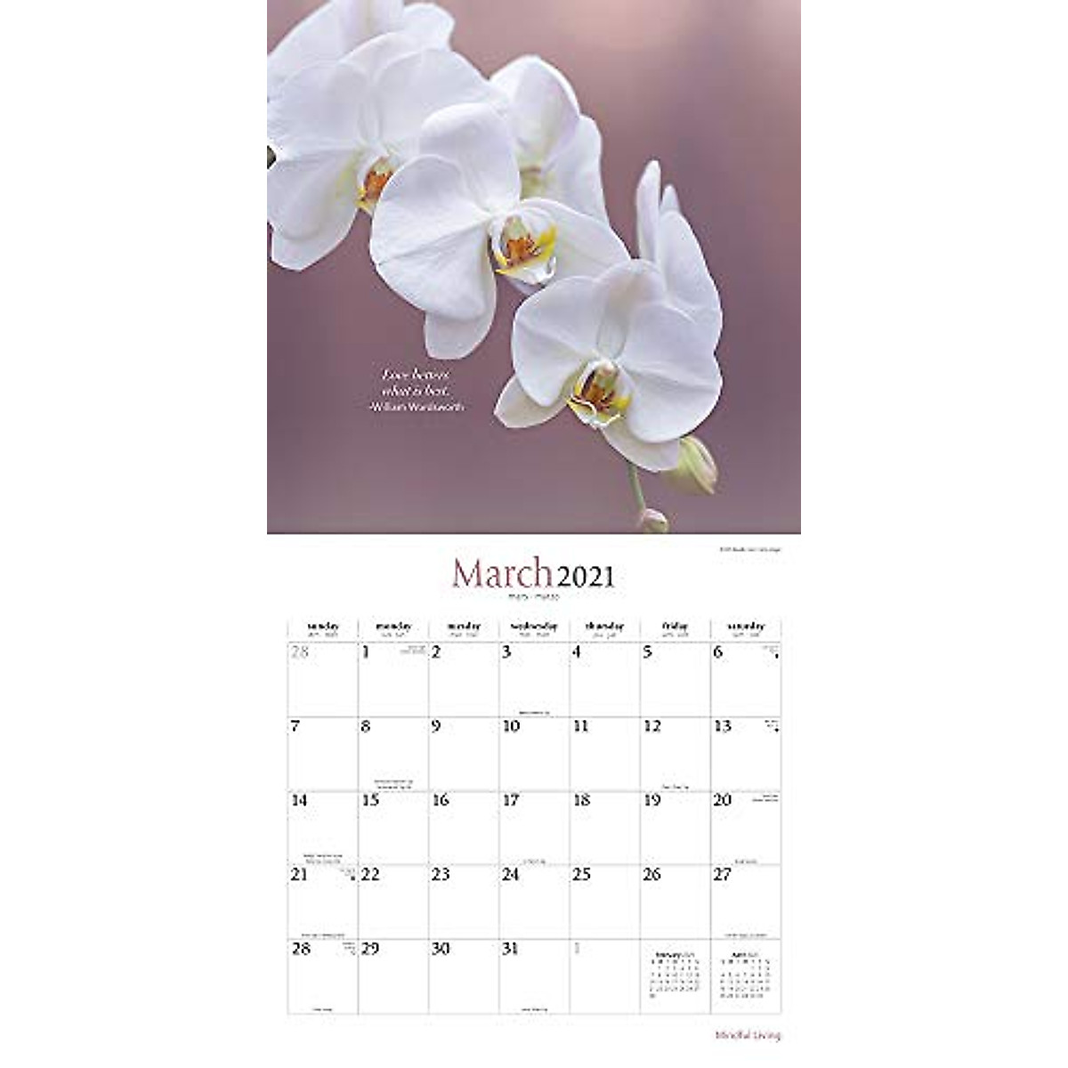 Mindful Living 2021 Calendar