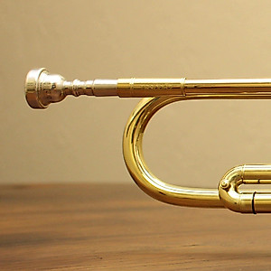 Cheerock 3Pack Trumpet Mouthpiece 3C 5C 7C Trumpet Accessories, Brass Trumpet Mouthpiece Set Suitable for Beginners and Professional Players （Gold）