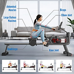 JOROTO MR23 Water Rowing Machine for Home Use, 300 Lbs MAX Weight Capacity Rower Machine with Bluetooth Function, Ipad Holder, 44 Days Kinomap Subscription