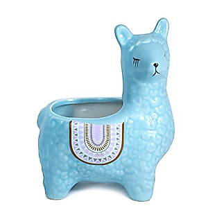 Dahlia Cute Llama Ceramic Succulent Planter/Plant Pot/Flower Pot/Bonsai Pot, Sky Blue