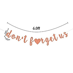 Dill-Dall Don't Forget Us Banner - Retirement/Graduation/Going Away Party Decorations (Rose Gold Glitter)