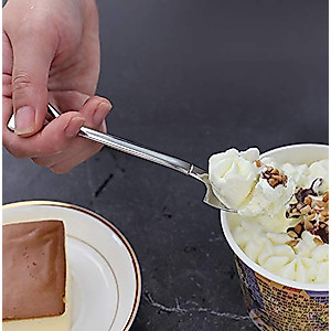 10 Pack Dessert Spoon 6 inch Shovel Shape Stainless Steel Spoons Ice Cream Fruit Spoon for Home Kitchen or Restaurant