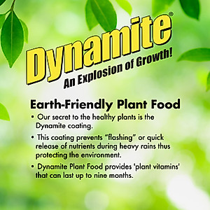 Dynamite Mater Magic - Organic Tomato Fertilizer for Bigger, Juicier Tomatoes and Vegetables, OMRI Listed, Nitrogen and Calcium-Rich Plant Food - .675 Pound Container with Shaker Lid