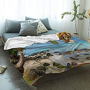 ANNAMALL Throw Blanket,30x40 InchPalm Tree Beach Sea Cloud Blue Sky Island Reef Stone Microfiber Throw Blankets Warm Cozy Lightweight Blanket for Sofa,Bed,Camping,Picnic