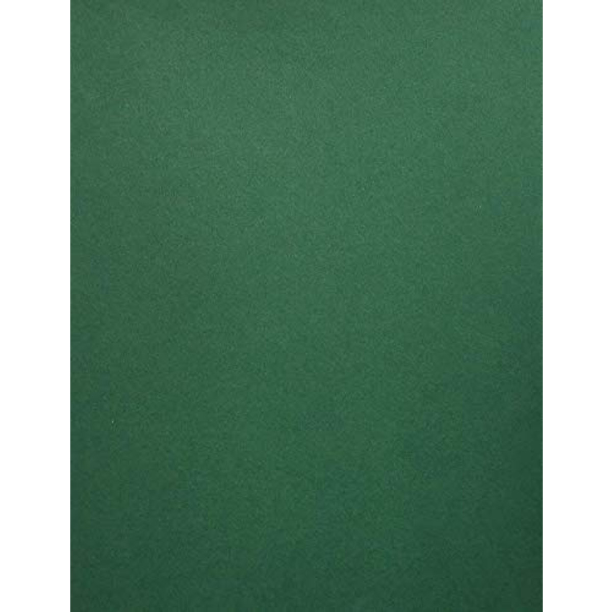 Colorplan Forest Green Cardstock Paper - 8.5 X 11 Inch Premium Matte 100 Lb. Heavyweight - 25 Sheets from Cardstock Warehouse