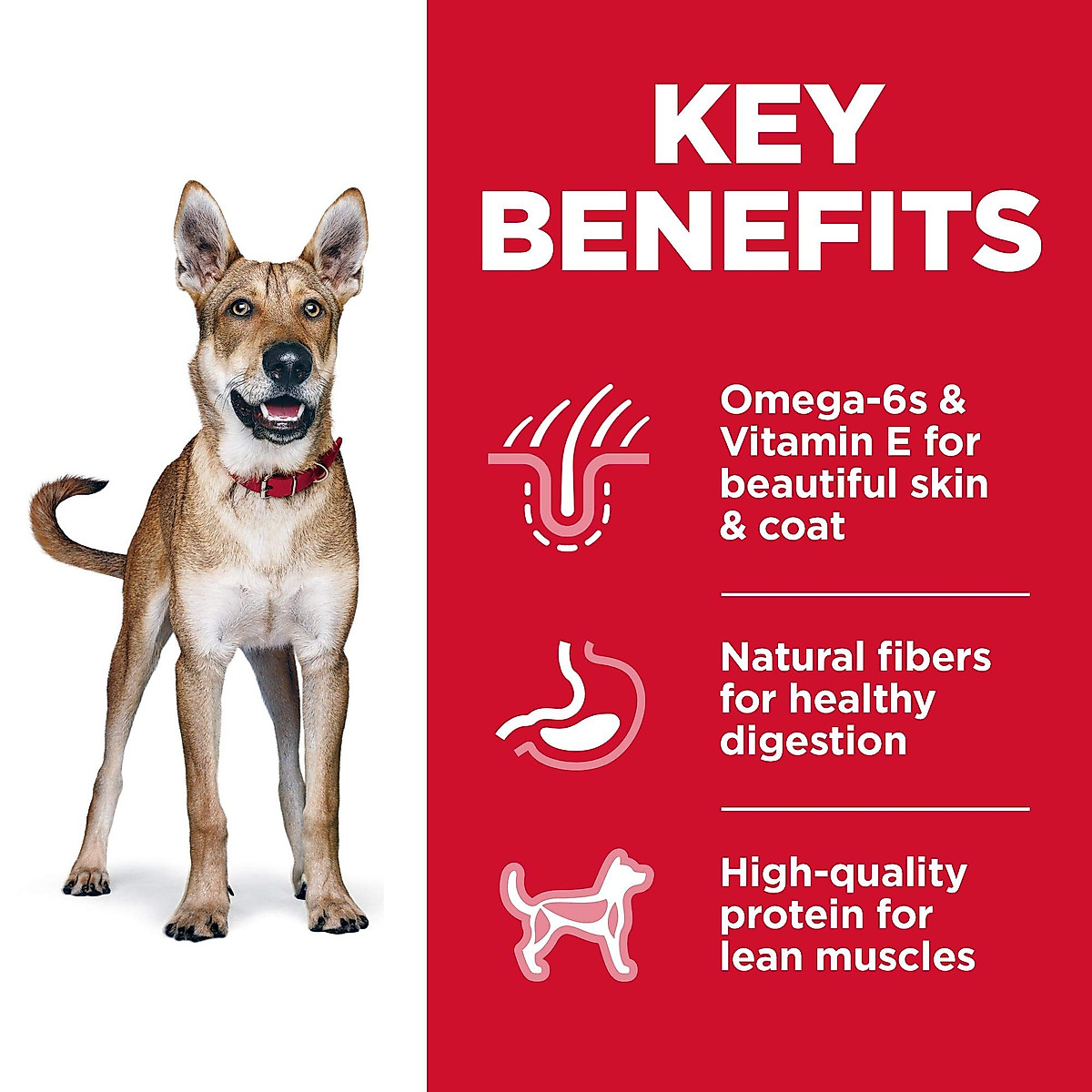 Hill's Science Diet Dry Dog Food, Adult, Chicken & Barley Recipe, 15 lb. Bag