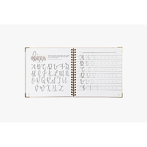 Hand Lettering 201: Intermediate Lettering and Design Basics