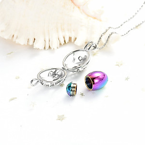 Yinplsmemory Dragonfly Urn Necklace for Ashes for Human/Pet Ashes Stainless Steel Hollow Memorial Locket Pendant Jar Keepsake Cremation Jewelry