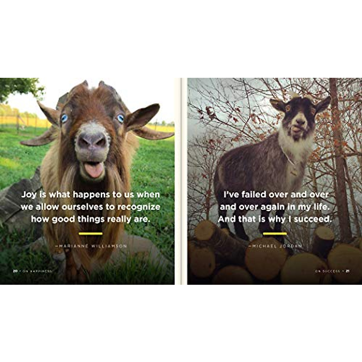 You've Goat This: Wisdom to Get You Through the Good, the Baaad, and Everything in Between