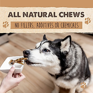 Mighty Paw Naturals Chicken Feet Dog Treats (30 Pack) | 100% Natural Dehydrated Chicken Feet for Dogs. Dried Chicken Feet for Dogs and Pets. Single Ingredient Chews