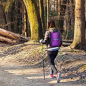 Gonex Ultra Lightweight Packable Backpack Daypack Handy Foldable Camping Outdoor Travel Cycling Backpacking(Purple)