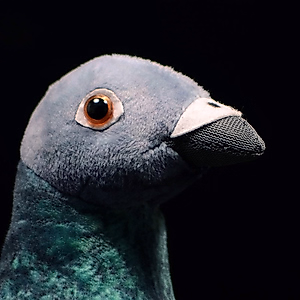 Grey Pigeon Plush Toy - Simulation Rock Columba Rupestris Stuffed Animal, Cute Rock Pigeon Plush Toy as Gift for Your Friends