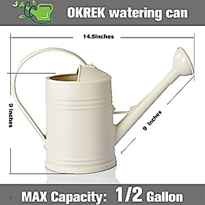 Watering Can for Indoor Plants, Flower Watering Can Outdoor for House Plants Garden Flower, Small Watering Can Indoor Long Spout with Sprinkler Head (1/2 Gallon, Ivory)