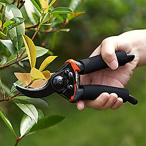 8" Professional pruners for tree trimming，rose snips，rose cutters tools，gardening shears，garden shears，Bypass Pruning Shears，Hand Pruners