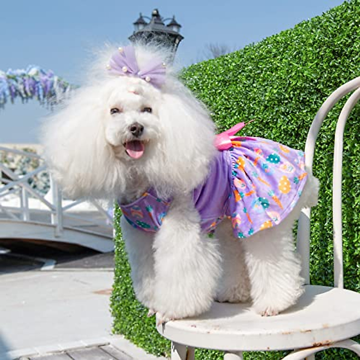 CuteBone White Rabbit Dog Easter Dress Velvet for Small Dogs Girl Eggs Skirt Puppy Purple Dresses Dog Clothes CVA19M-D