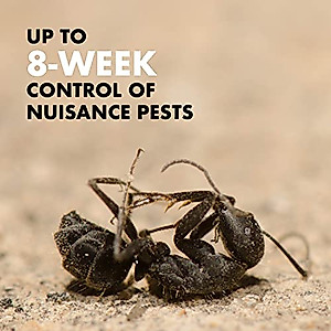 Spectracide Terminate Termite & Carpenter Ant Killer Concentrate, Kills Termites, Ants and Carpenter Ants, 32 fl Ounce