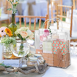 BESARME 30 Pack Clear Gift Bags with Handle, Reusable Plastic Bags Small Gift Wrap Tote Bags Candy Bags for Christmas Party Favors Wedding Birthday (6.3" x 5.9" x 2.8")