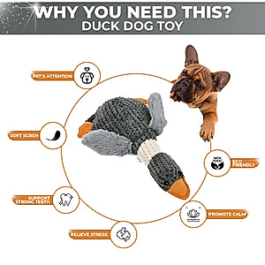 Dearlydo Duck Dog Toy – Mallard Duck Plush for Dogs – Squeaky Dog Toy for Small, Medium and Large Dogs – Durable Dog Toys for Playing, Chewing, Biting – Interactive Dog Toys for Play and Fetch (Grey)