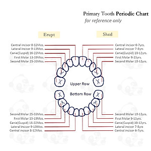PAMBO Baby Tooth Fairy Box, First Tooth Keepsake Box for Kids - Wooden Tooth Holder & Storage Gift Box for Boys