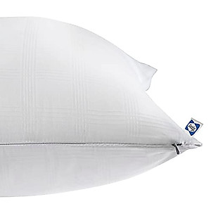 Sealy Clean Luxury 100% Cotton Zippered Encasement Stain Release Pillow Protector- King Size- 2 Pack