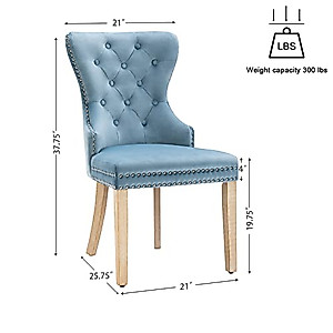 adochr Velvet Fabric Accent Dining Chairs Set of 6, Room for Used Solid Wood with Button and Nailed Trim (Blue)