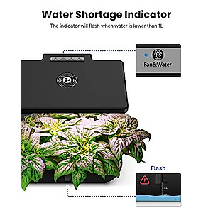 iDOO WiFi 12 Pods Hydroponic Growing System with 6.5L Water Tank, Smart Hydro Indoor Herb Garden Up to 14.5", Plants Germination Kit with Pump System, Fan, Grow Light for Home Kitchen Gardening, Black