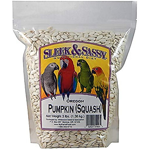 SLEEK & SASSY NUTRITIONAL DIET Oregon Squash (Pumpkin) Seeds Bird Treat (3 lbs.)