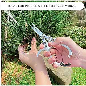 LOOPSEED Plant Pruning Shears with Leather Sheath Garden Trimming Scissors with Belt Holster Bonsai Trimmers Herb Snips Flower Clippers Modern Garden Tools 2 Piece Bundle