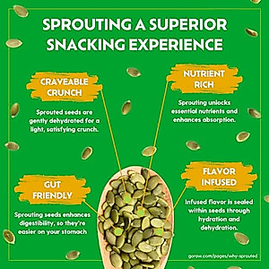 Go Raw Organic Sprouted Pumpkin Seed Bars, 10 Count, Sea Salted, Keto, Superfood