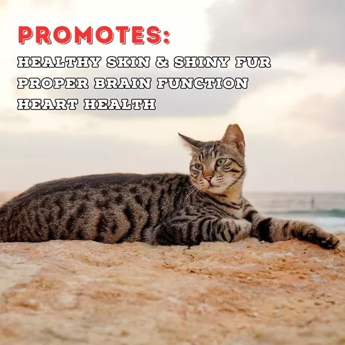 Boat to Bowl Wild Alaskan Omega-3 Fish Oil Flavor Food Topper Vitamins & Supplement for Cats and Dogs | 4oz